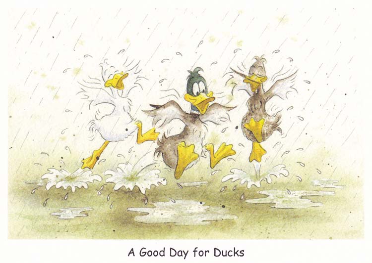 A Good Day for Ducks